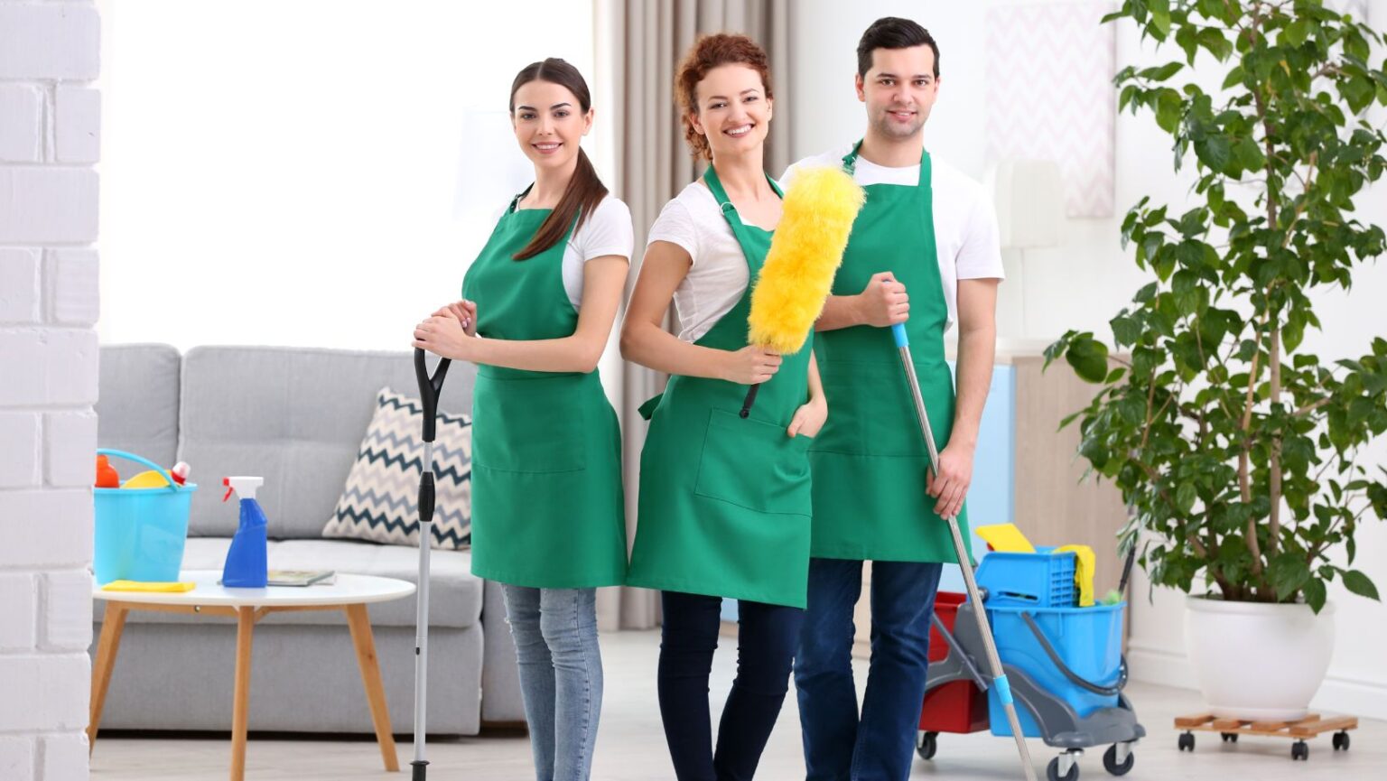 Tips for Selecting the Right Recurring Maid Service for Your Needs ...